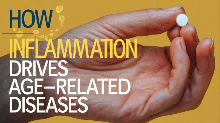 How Inflammation Drives Age-Related Diseases - RubMD